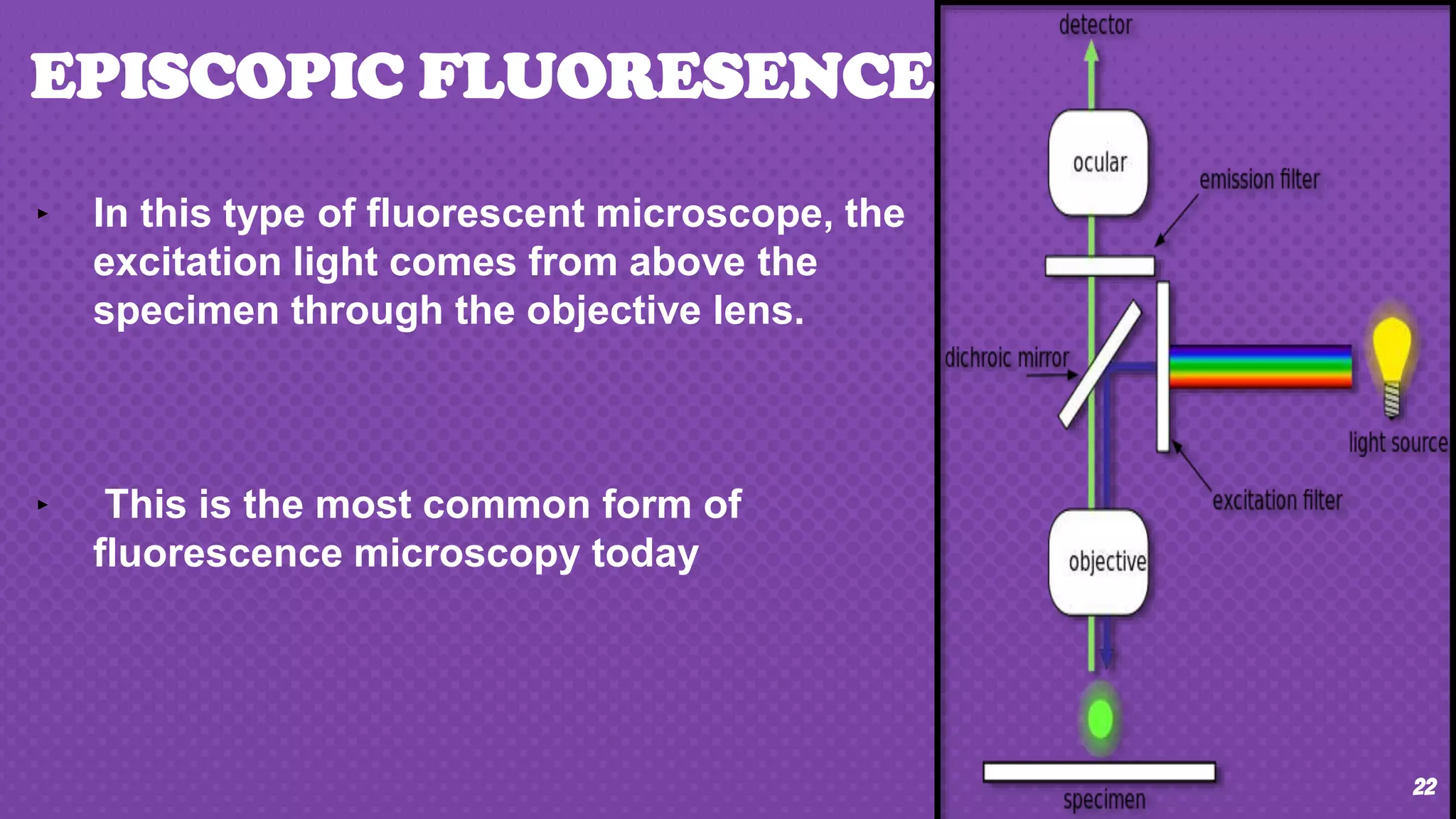 Fluorescent microscope | PPTX