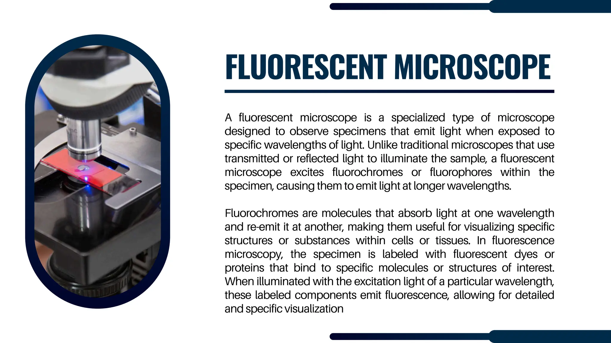 Best Fluorescent Microscope Exporter in India | PDF