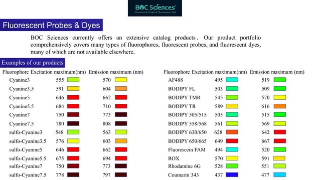 Introduction of Fluorescent Probes and Dyes | PPTX | Chemistry | Science