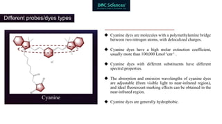 Introduction of Fluorescent Probes and Dyes | PPTX