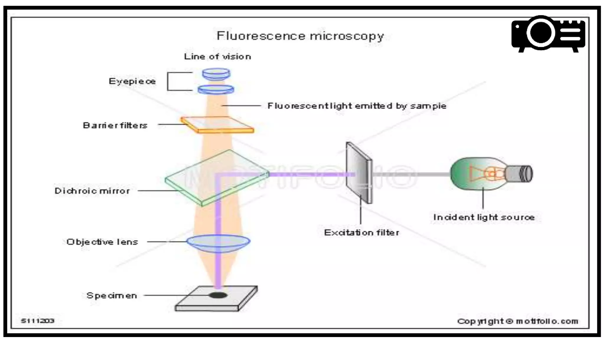 Fluoresence microscope | PPTX