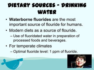 Fluoride and their role in dental caries prevention | PPTX
