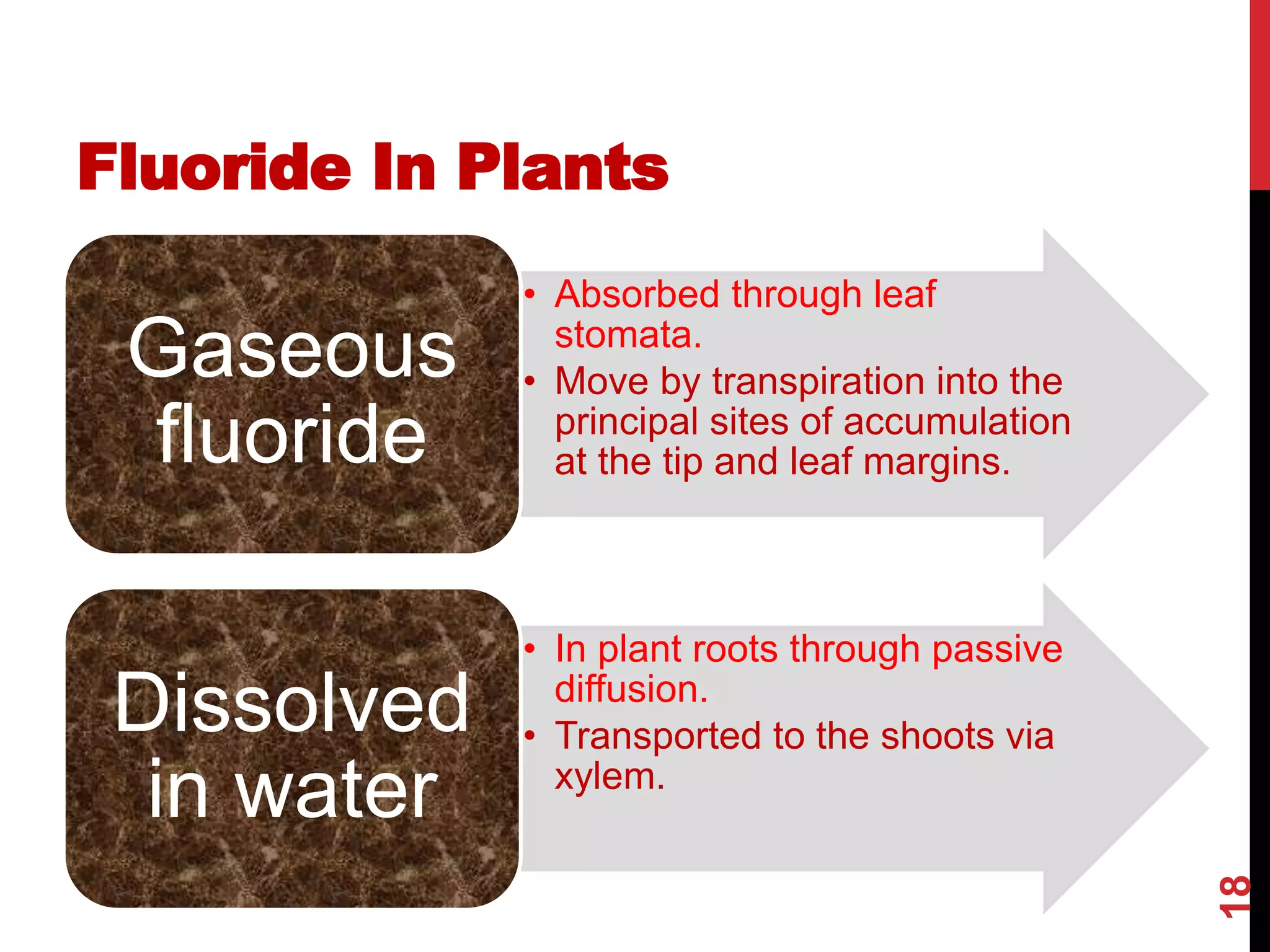 Fluoride as pollutant in air, water and its impacts on plants | PPTX