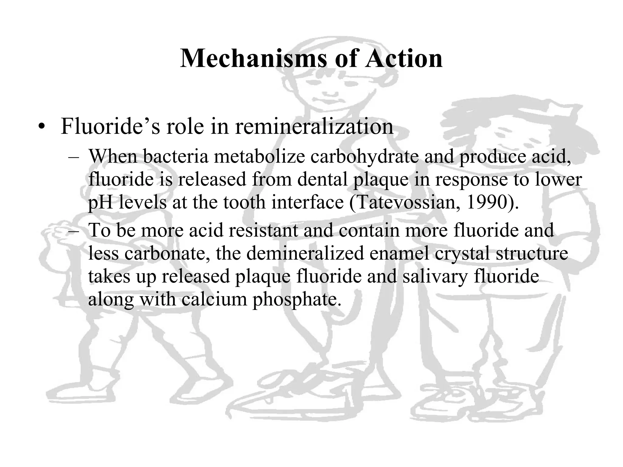 Fluorides | PPT