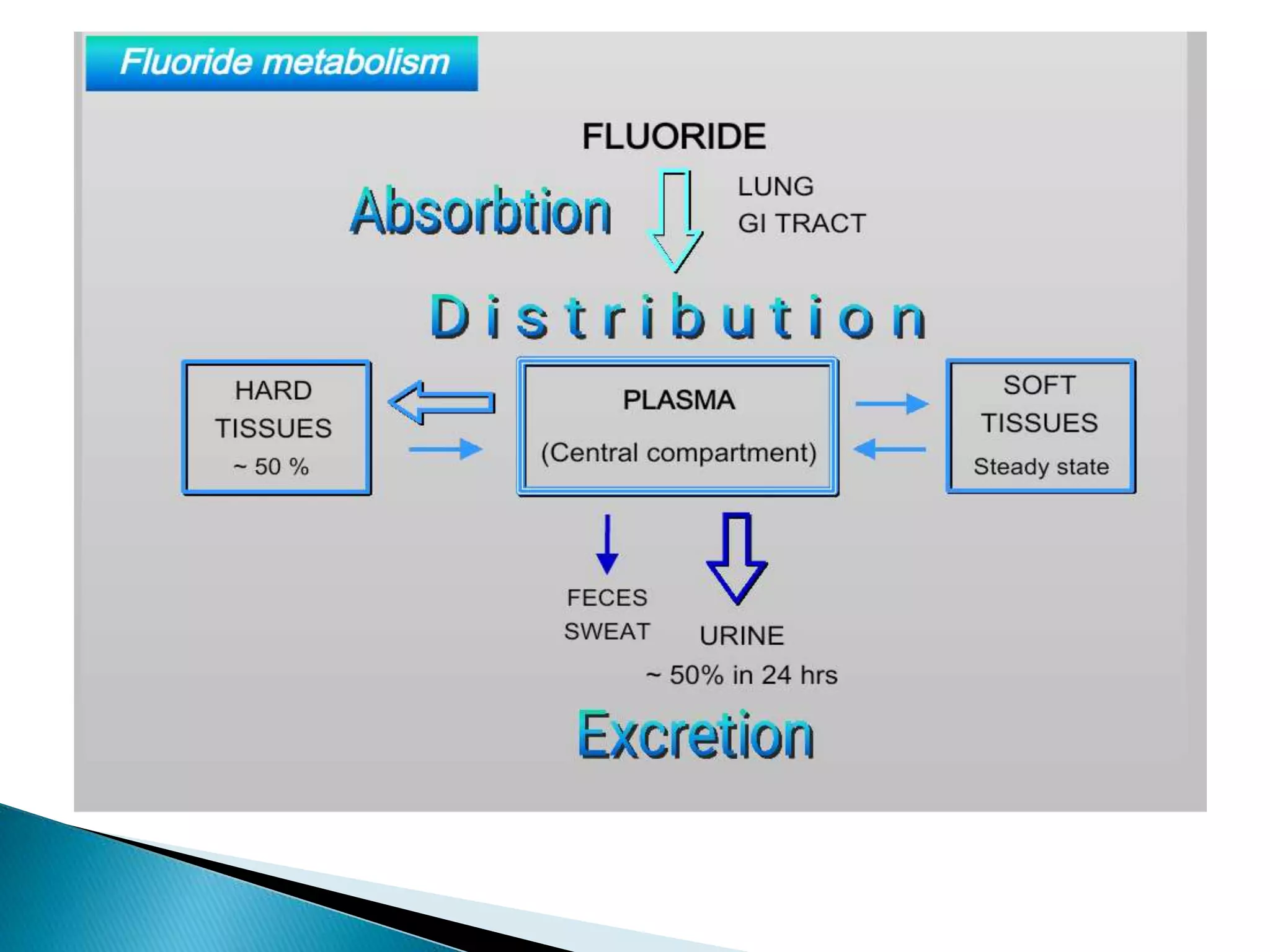 Fluorides........... | PPTX