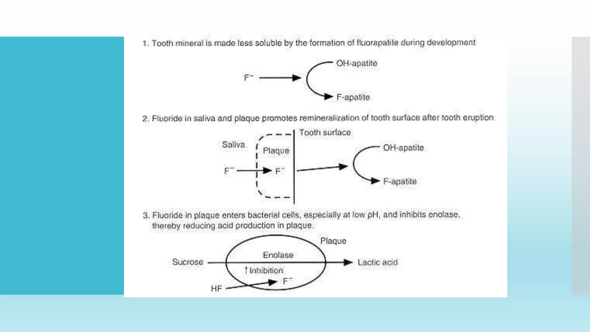 fluorides in dentistry.pptx