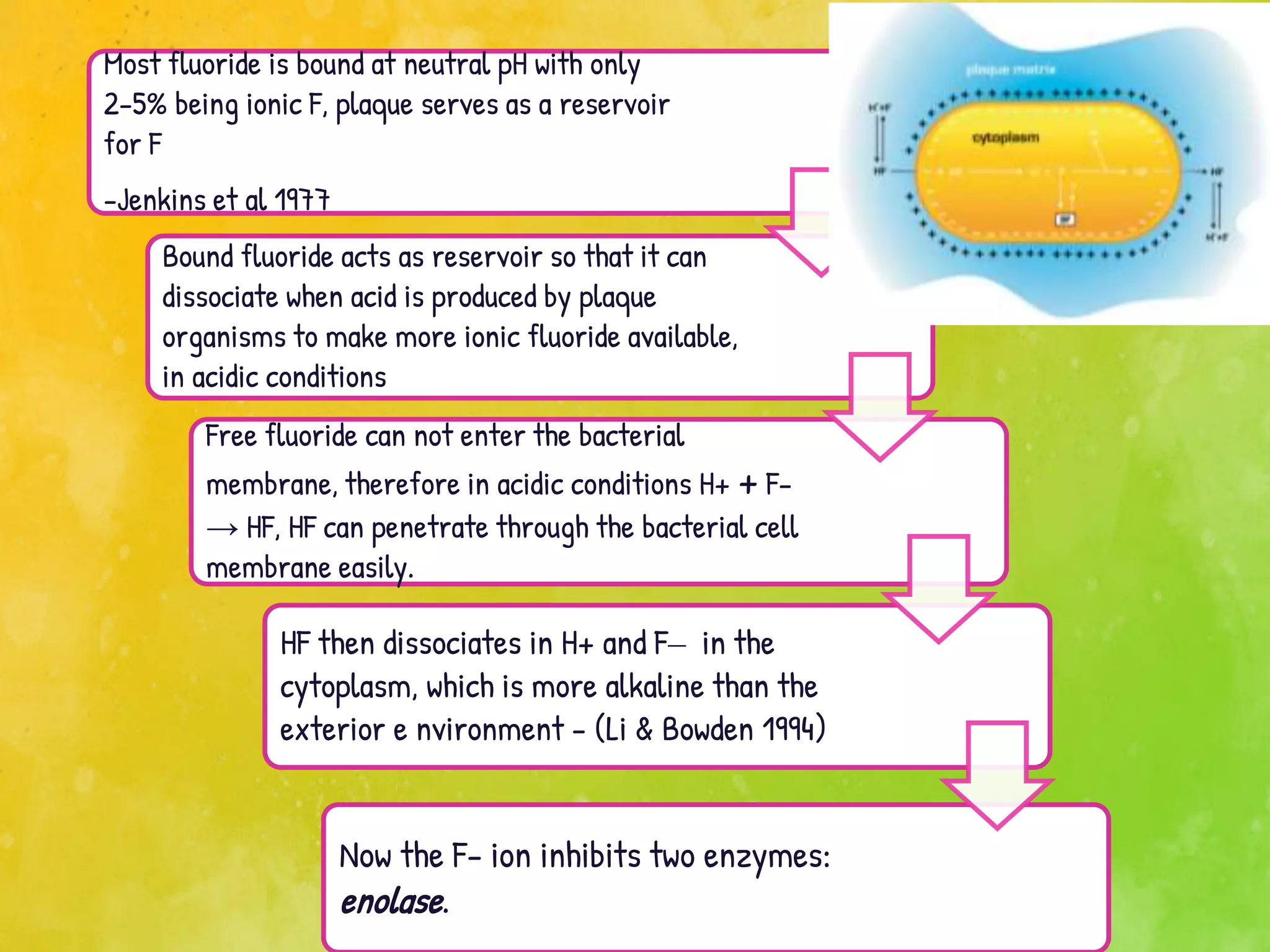 Fluorides ppt neha | PPTX