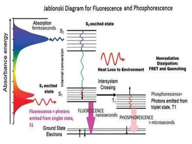 Fluorimetry part 2, Instrumentation, single beam and double beam, light ...