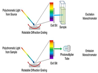 Fluorimetry part 2, Instrumentation, single beam and double beam, light ...