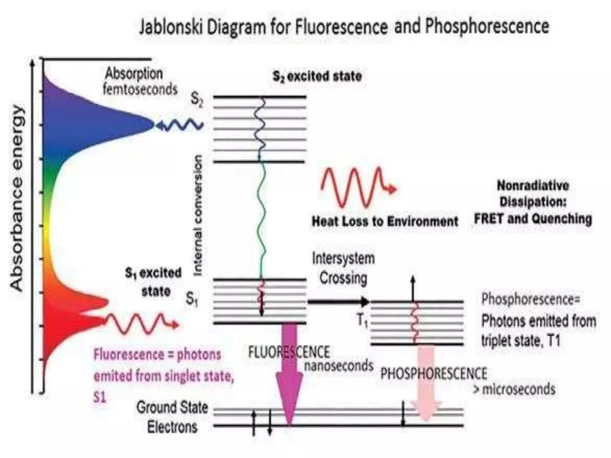Fluorimetry, principle, Concept of singlet,doublet,and triplet ...