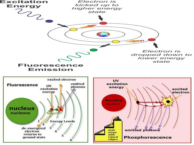 Fluorimetry, principle, Concept of singlet,doublet,and triplet ...