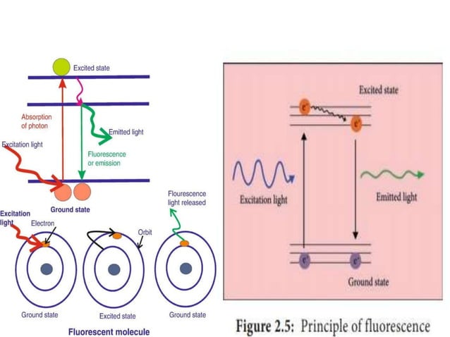 Fluorimetry, principle, Concept of singlet,doublet,and triplet ...