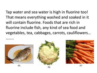 Fluorine | PPTX