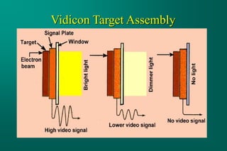 fluoro1-principles.PPT
