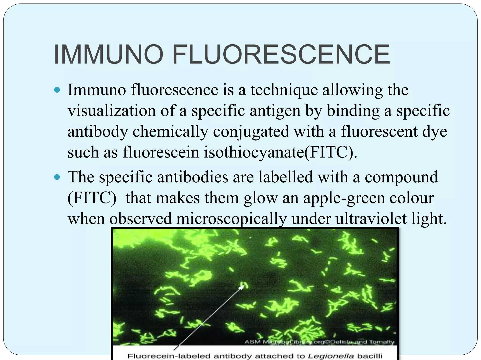 Fluoro immunoassay ppt | PPTX