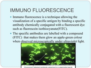 Fluoro immunoassay ppt | PPTX