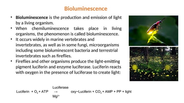 Fluorometry, Phosphorescence, Luminescence | PPT