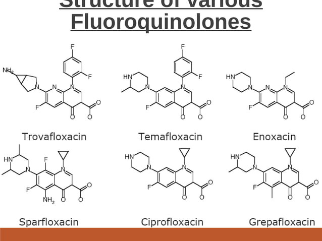 Fluoroquinolones | PPT | Infectious Diseases | Diseases and Conditions