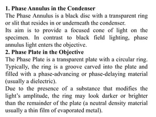 FLUOROSCENCE & PHASE CONTRAST MICROSCOPY.pptx | Chemistry | Science
