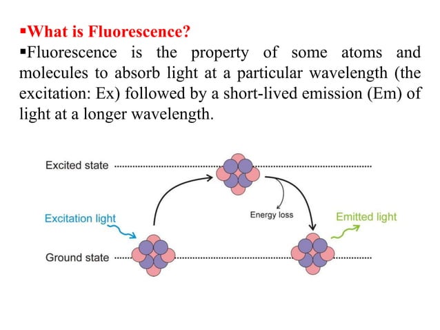 FLUOROSCENCE & PHASE CONTRAST MICROSCOPY.pptx | Chemistry | Science