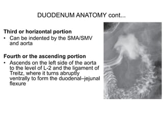 Fluoroscopic imaging anatomy and pathology of stomach and duodenum ...