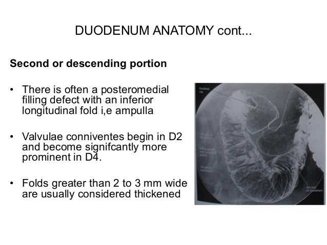 Fluoroscopic imaging anatomy and pathology of stomach and duodenum ab…