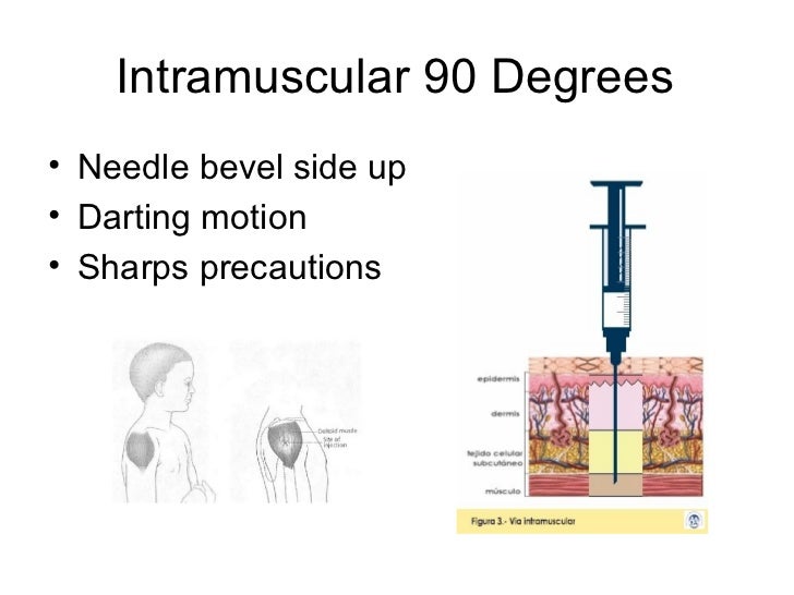 Flu power point_2011