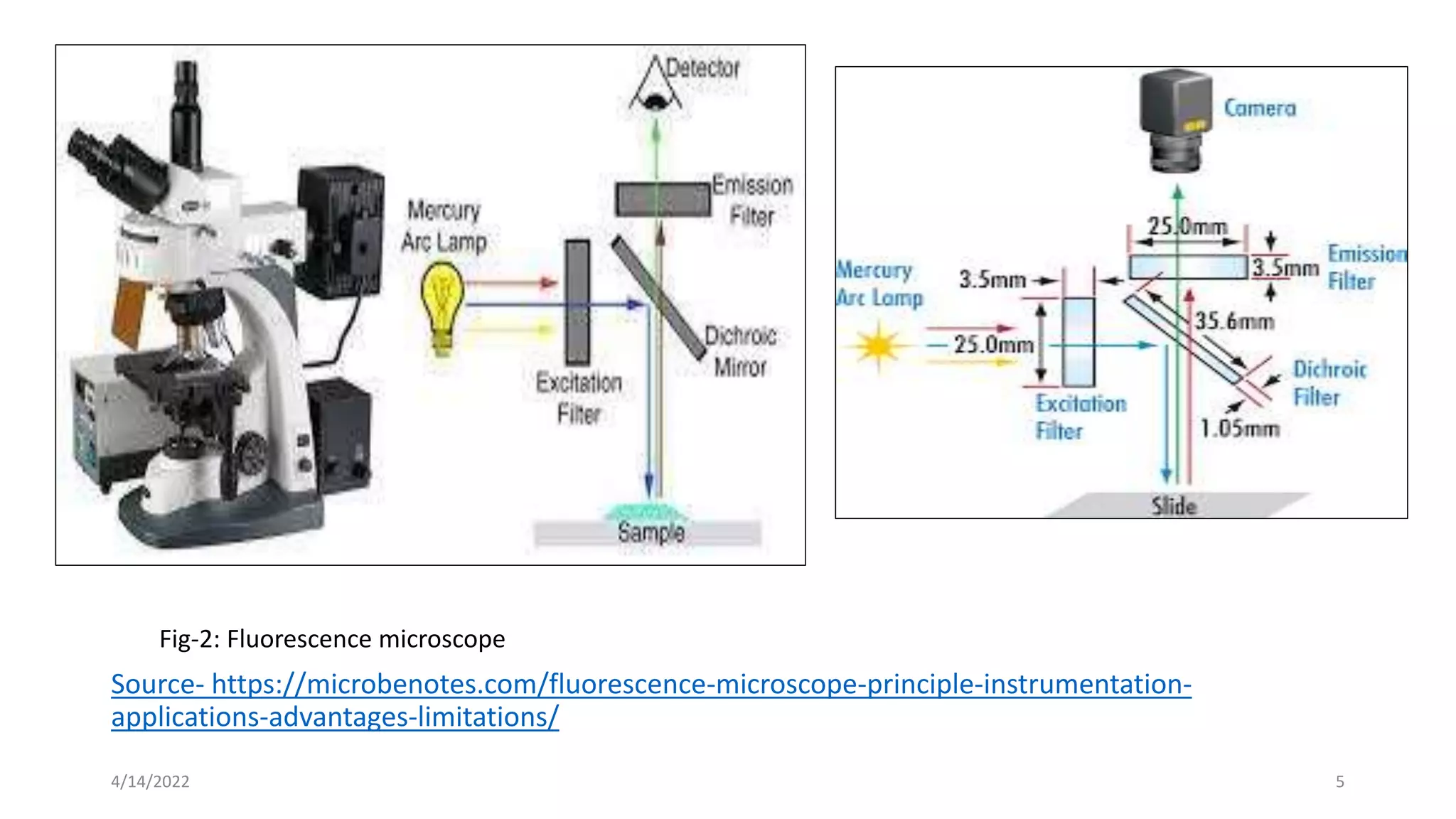 fluroscence microscopy final- ppt.pptx