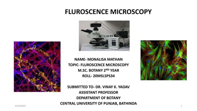 fluroscence microscopy final- ppt.pptx