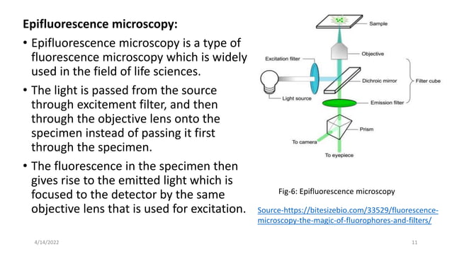 fluroscence microscopy final- ppt.pptx