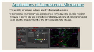 Flurosence microscopy.pptx