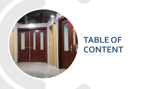Detailed Project Report on Flush Doors Manufacturing Unit Setup | PPTX