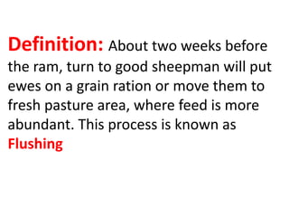 Flushing.pptx Details about flushing | PPTX