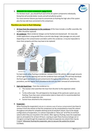Flushing and cleaning(en) | PDF