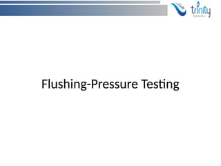 Flushing and pressure Testing of Hydraulic Hoses and hydraulic lines.pptx