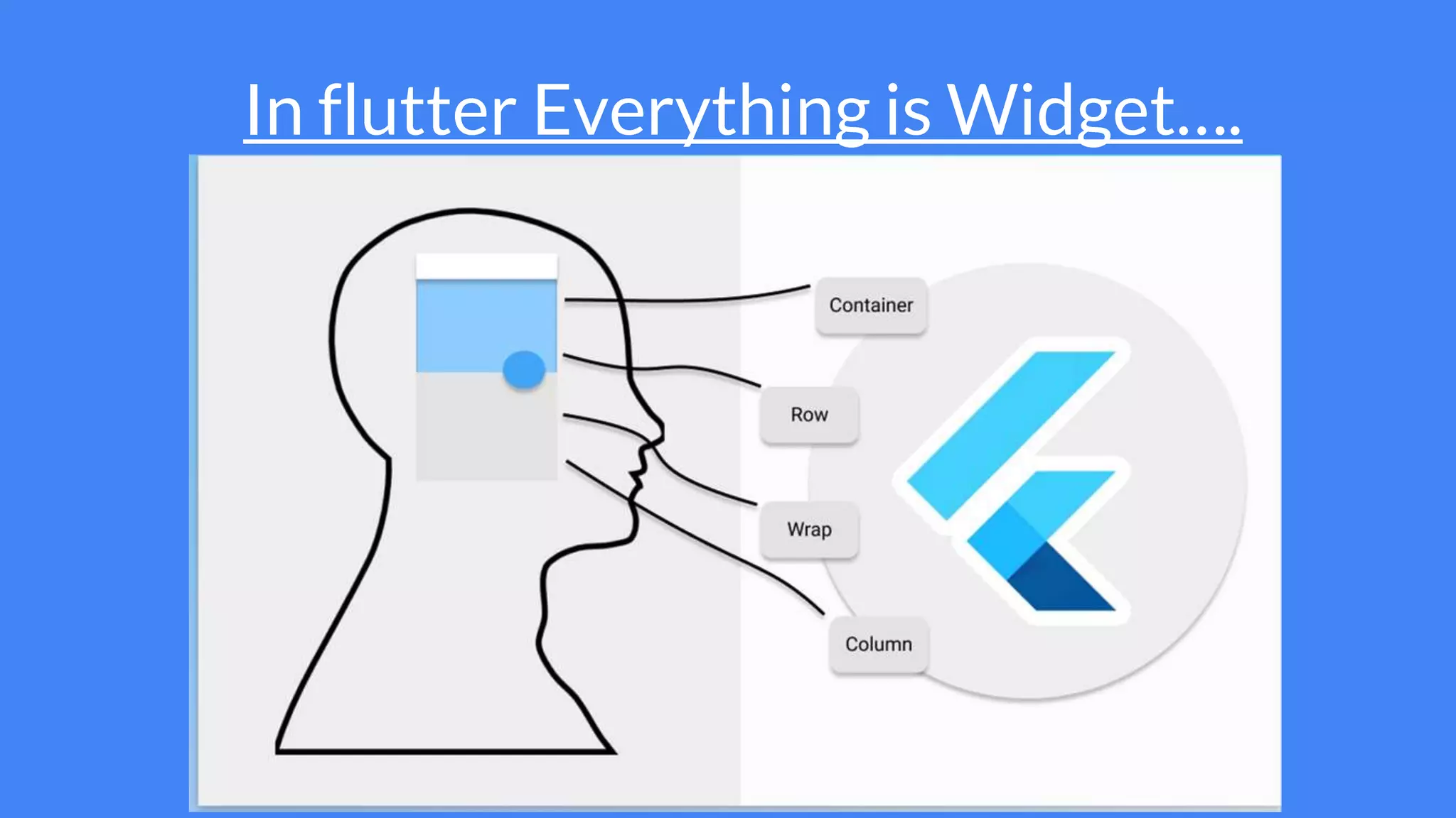 Flutter dhaval solanki | PPTX