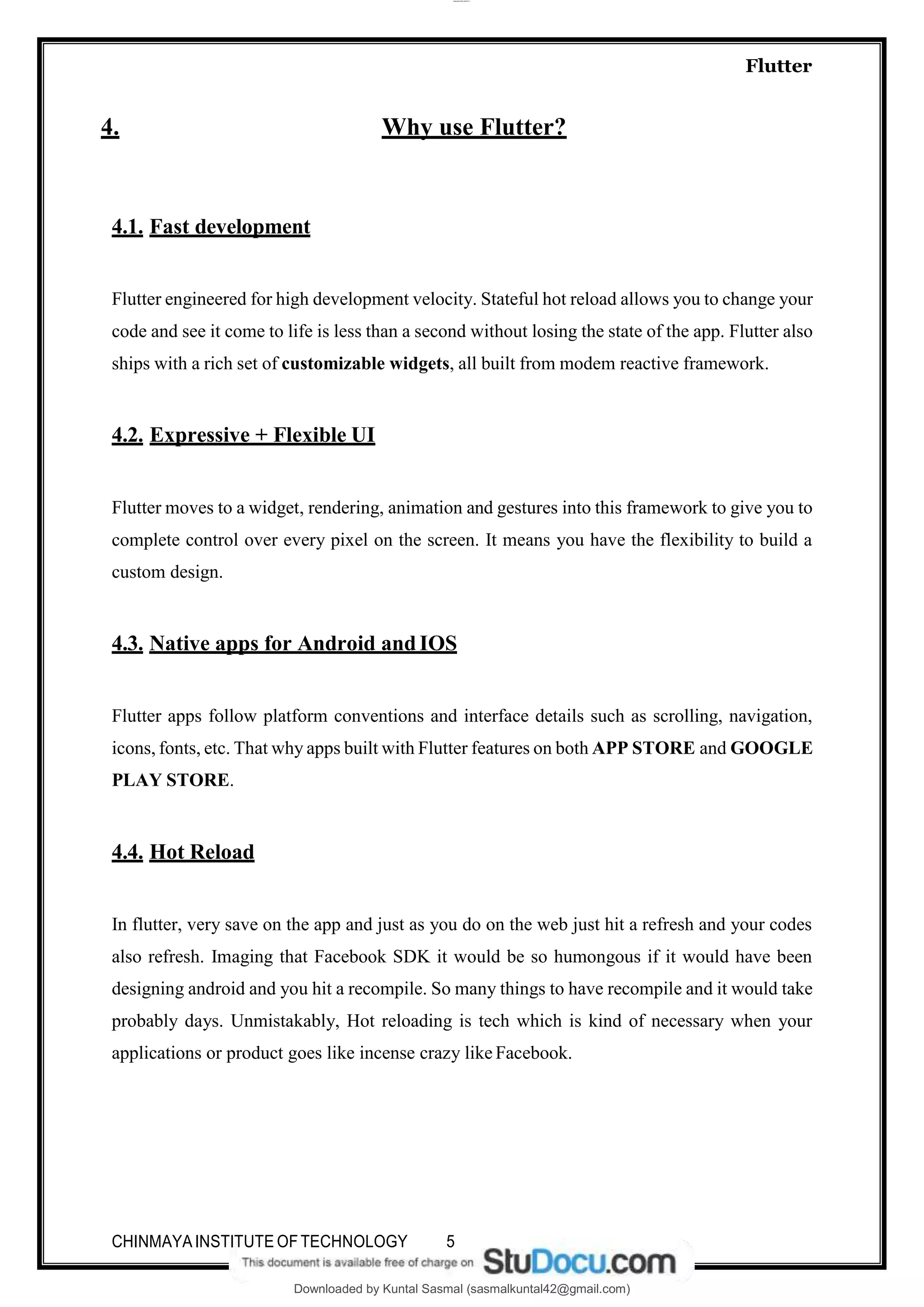 flutter-general-report.docx