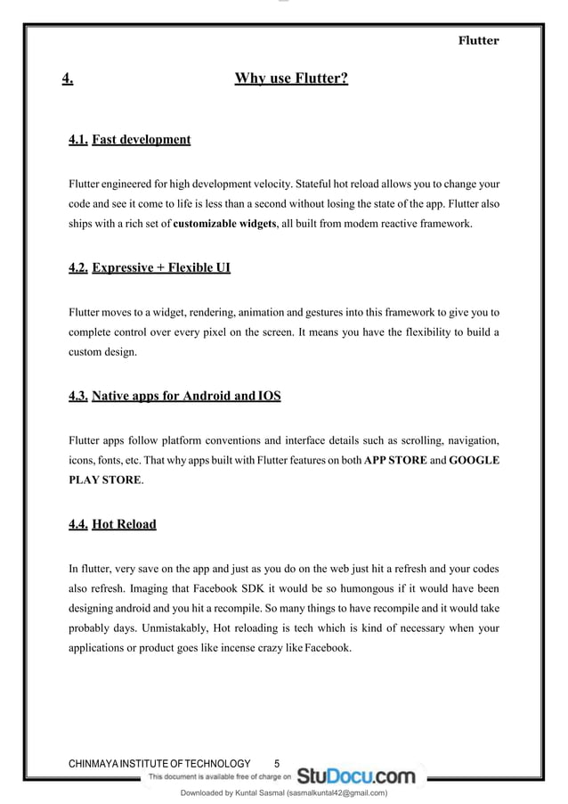 flutter-general-report.docx