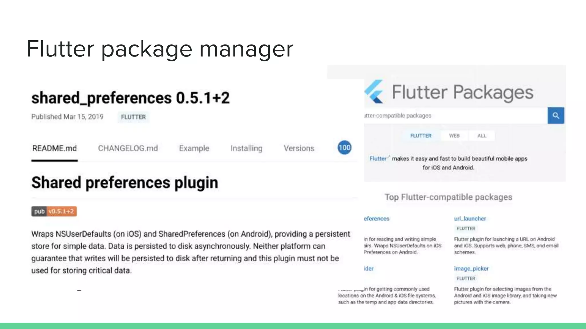 Flutter - Pixel by Pixel | PPTX