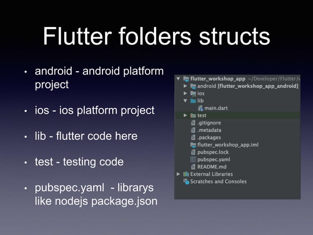 Flutter 2 | PPTX