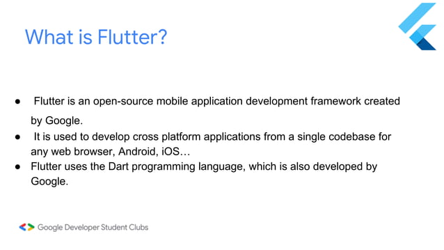 Flutter Intropptx Programming Languages Computing