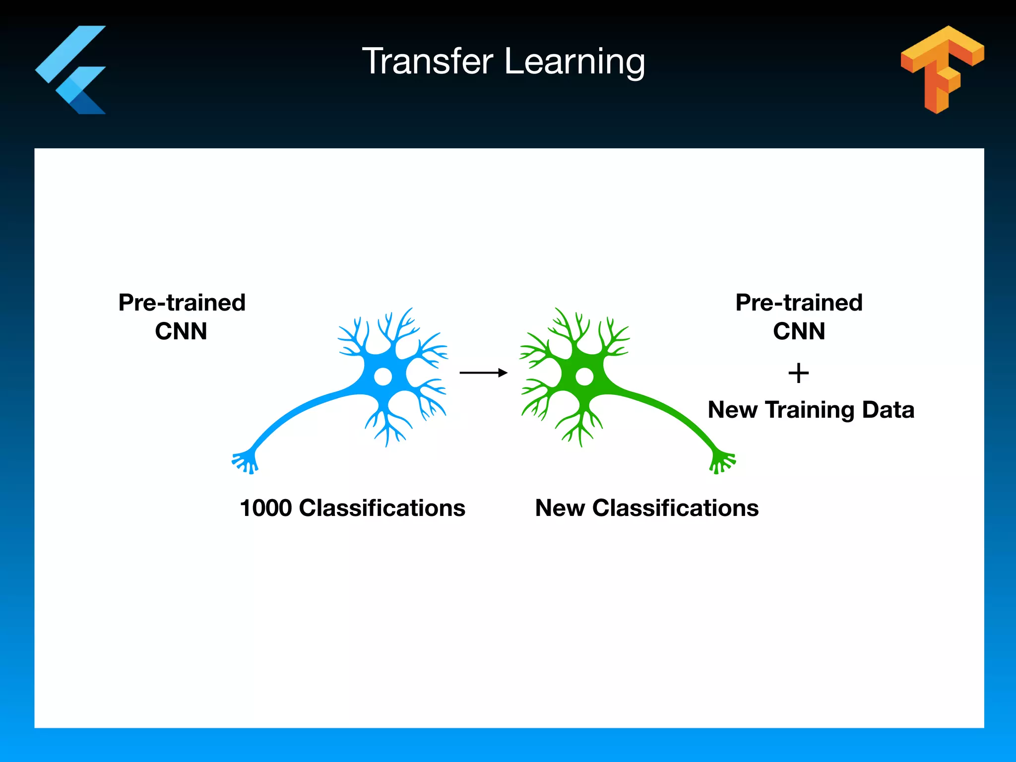 Flutter Tensor Flow Lite Awesome Sauce Ppt