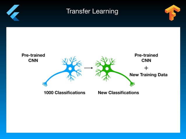 Flutter + tensor flow lite = awesome sauce | PPT