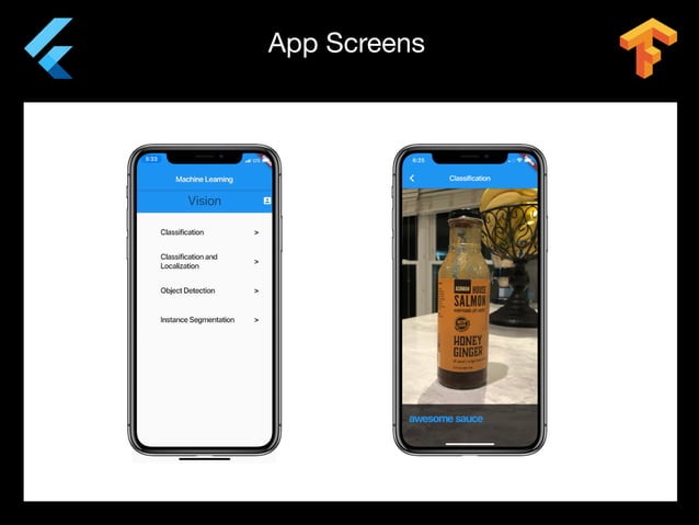 Flutter + tensor flow lite = awesome sauce | PPT