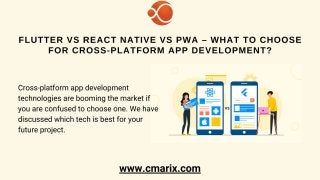 Flutter vs React Native vs PWA – What to Choose for Cross-Platform App ...