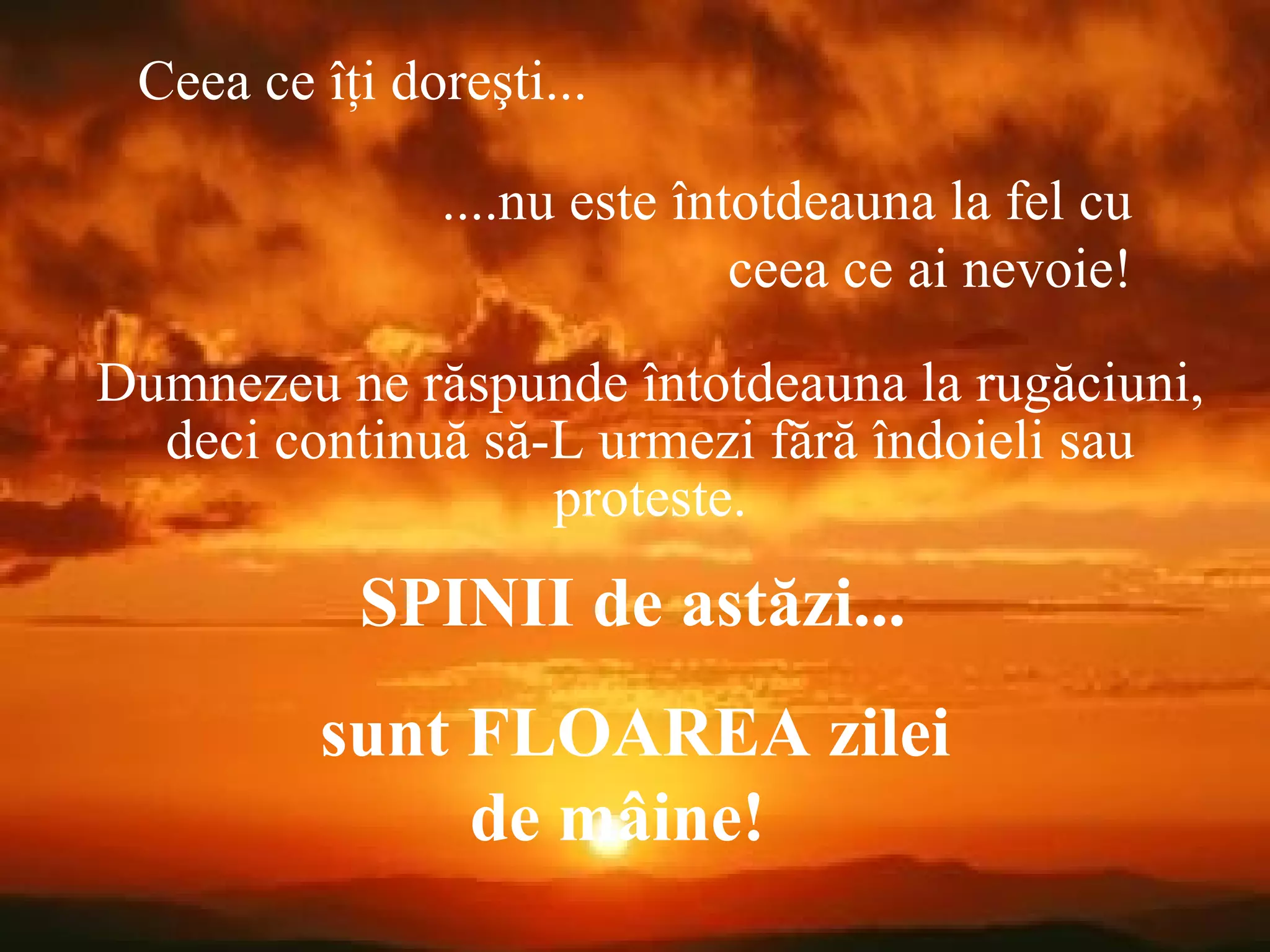 Fluturele si floarea | PPT