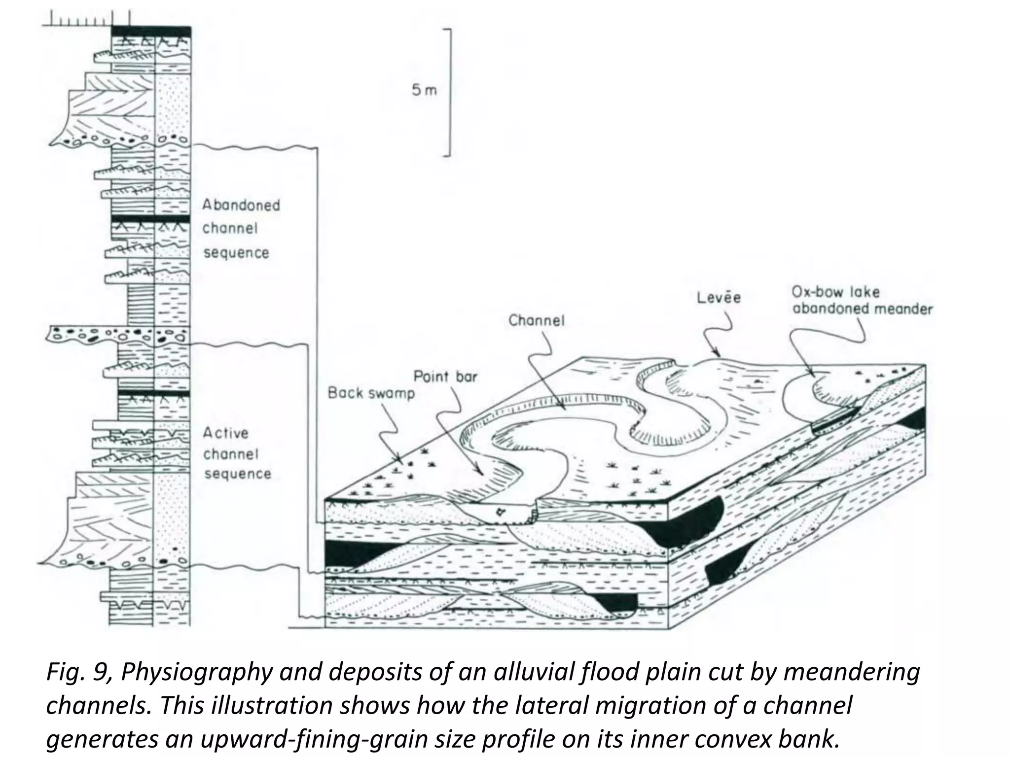 sedimentary environment (fluvial channel) | PDF