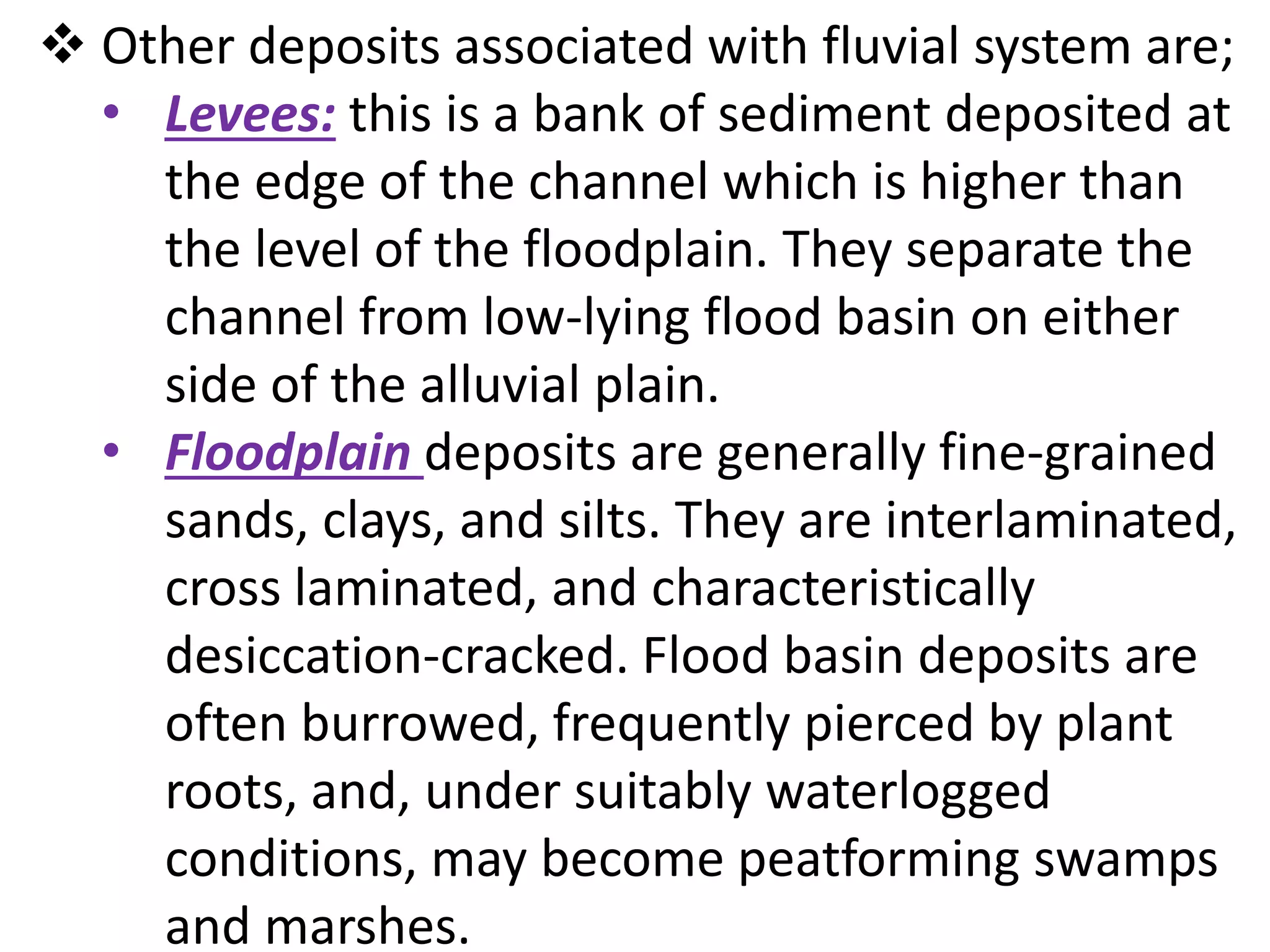 sedimentary environment (fluvial channel) | PDF