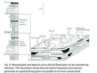 sedimentary environment (fluvial channel) | PDF