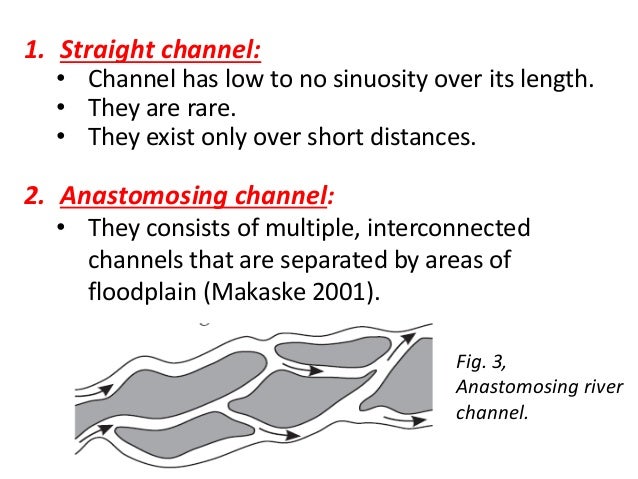 sedimentary environment (fluvial channel)